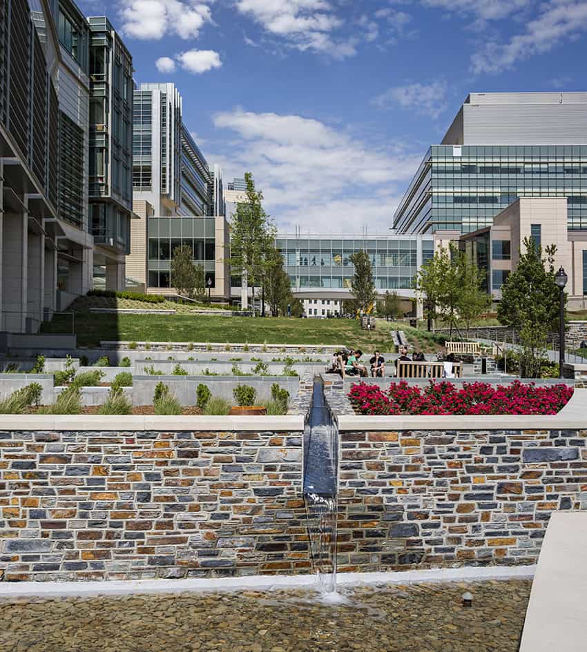 Duke’s New School of Medicine Learning Center Strikes Gold! – designed ...