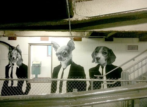 The Kensington Completes Pet-Relief Suite Featuring Dog Mural by ...