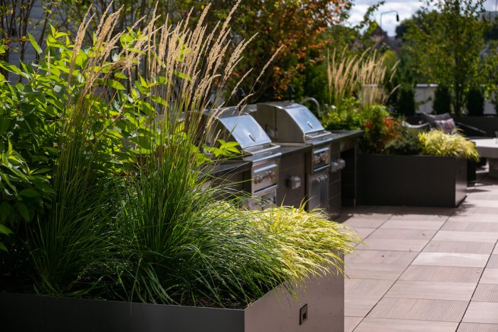 The Alder: A Model for Mixed-Use, Resilient Design at Allston Yards ...