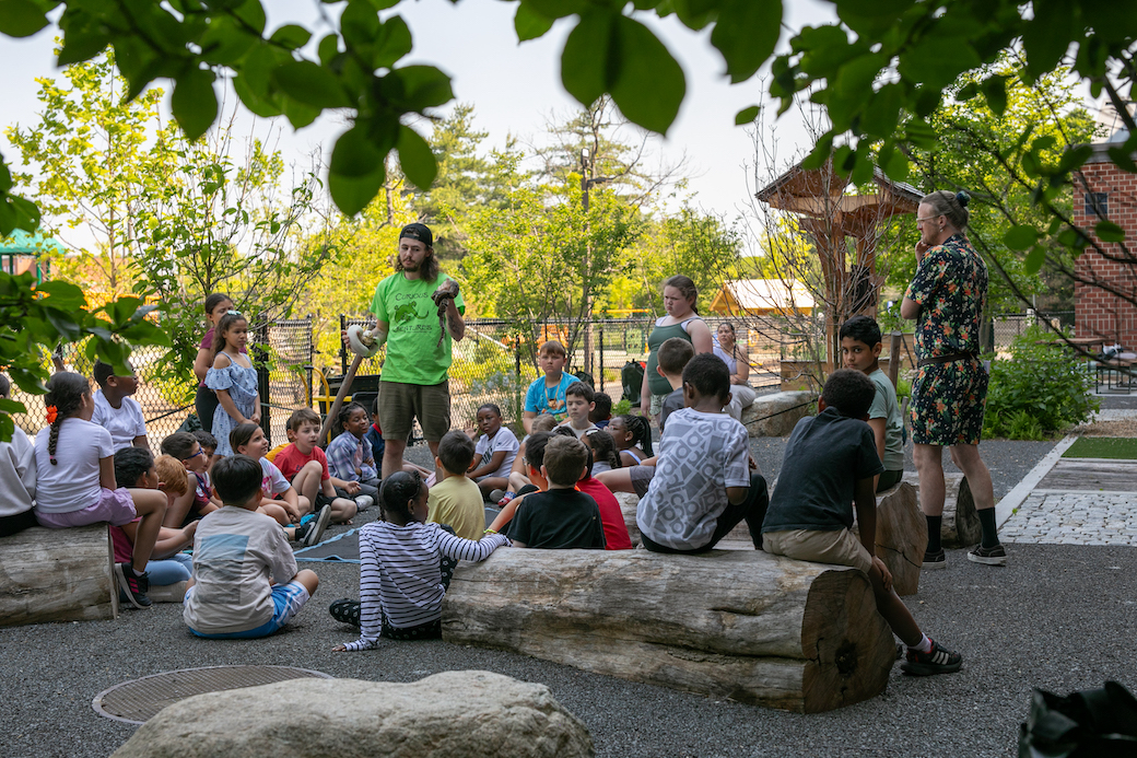 McGlynn Universal Playground: A Model for Inclusive Design | High ...